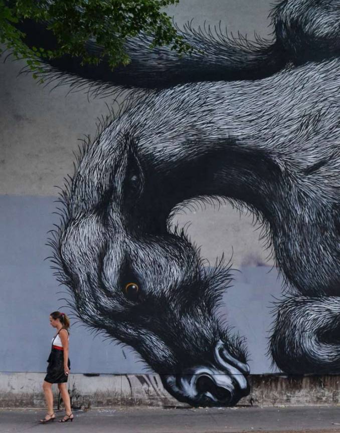 ROA - Street Art Avenue