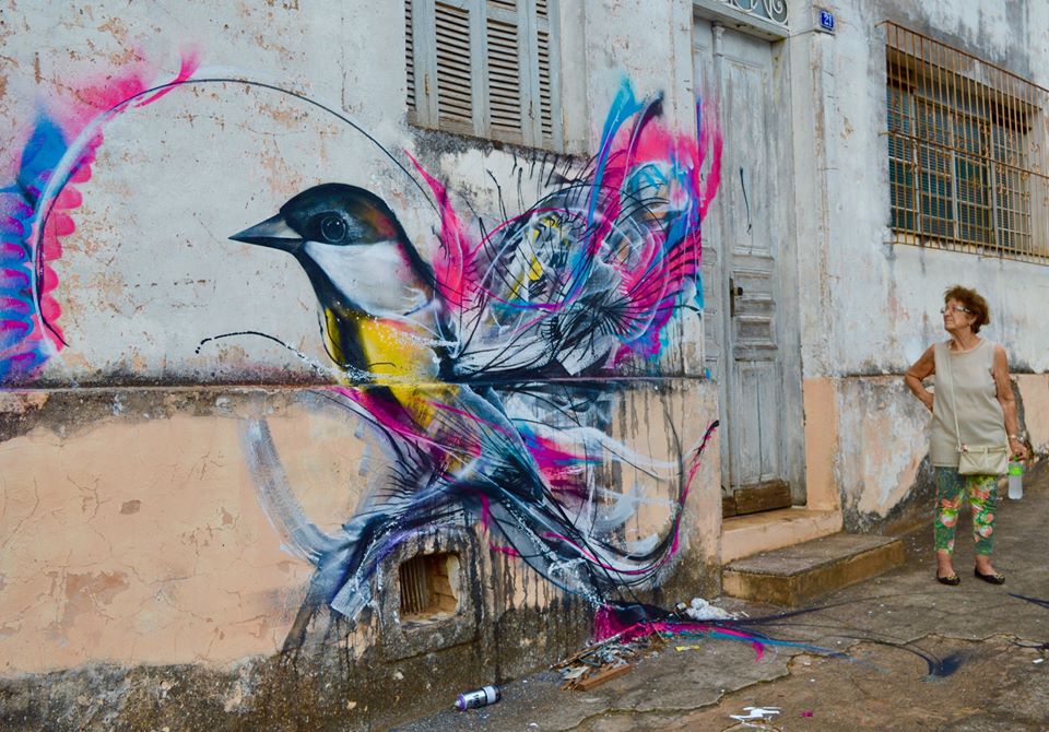 L7M /// Free Op. - Brésil