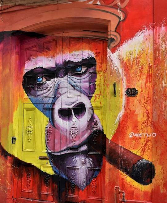 Noé Two /// La Havane, Cuba